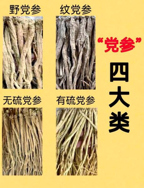 党参图片大全高清图片_如何辨别野生与栽培党参-第1张图片-山城妙识