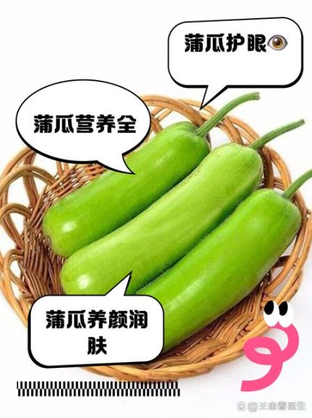 蒲瓜的功效与禁忌_蒲瓜什么人不能吃-第1张图片-山城妙识 蒲瓜的功效与禁忌_蒲瓜什么人不能吃-第1张图片-山城妙识