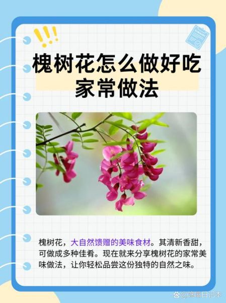 槐花怎么做好吃_槐花功效与作用-第1张图片-山城妙识