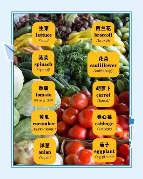 vegetables_name_list_english_vegetables_name_list-第2张图片-山城妙识