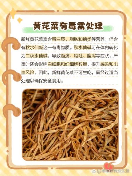 鲜黄花菜中毒怎么处理_吃了鲜黄花菜中毒怎么办-第1张图片-山城妙识