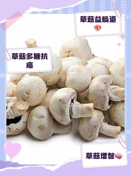 草菇的营养价值有哪些_草菇的药用价值与功效-第3张图片-山城妙识