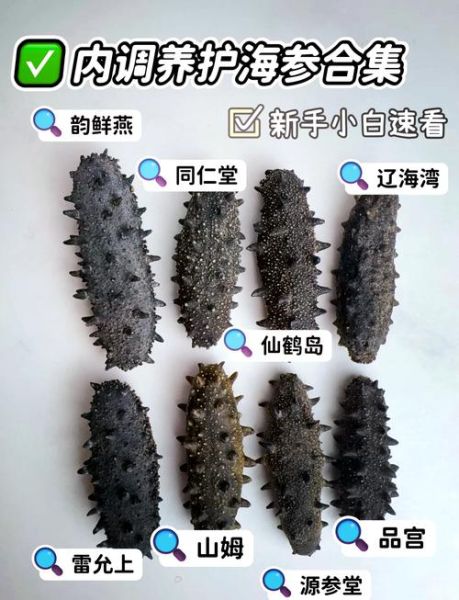 速发海参和淡干海参的区别_哪个更好-第1张图片-山城妙识
