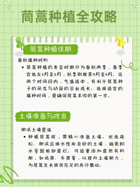 茼蒿怎么种_茼蒿种植时间和方法-第1张图片-山城妙识 茼蒿怎么种_茼蒿种植时间和方法-第1张图片-山城妙识