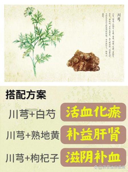 川芎叶子能吃吗_川芎叶子有什么功效-第3张图片-山城妙识 川芎叶子能吃吗_川芎叶子有什么功效-第3张图片-山城妙识