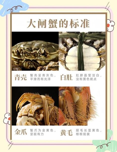 洞庭湖大闸蟹怎么挑选_正宗产地有哪些-第3张图片-山城妙识