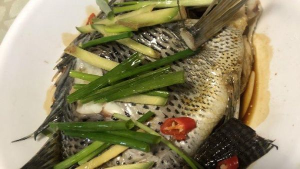 清蒸罗非鱼怎么做不腥又嫩_清蒸罗非鱼简单家常做法-第1张图片-山城妙识 清蒸罗非鱼怎么做不腥又嫩_清蒸罗非鱼简单家常做法-第1张图片-山城妙识