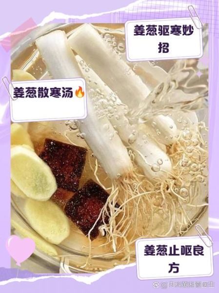 葱白水怎么煮给宝宝吃_宝宝感冒喝葱白水做法-第1张图片-山城妙识 葱白水怎么煮给宝宝吃_宝宝感冒喝葱白水做法-第1张图片-山城妙识