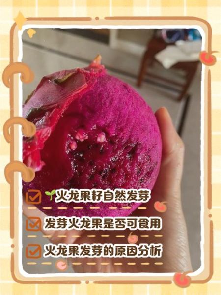 孕妇能吃红心火龙果吗_红心火龙果对胎儿好吗-第2张图片-山城妙识 孕妇能吃红心火龙果吗_红心火龙果对胎儿好吗-第2张图片-山城妙识