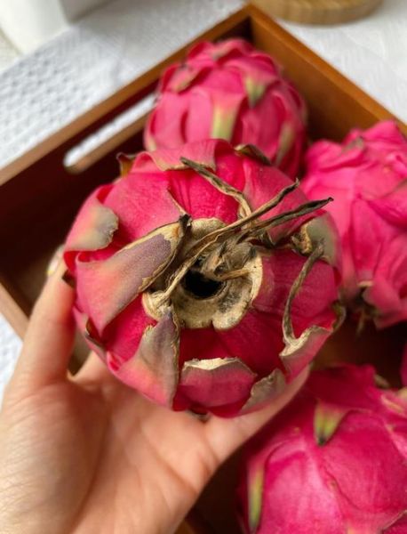 孕妇能吃红心火龙果吗_红心火龙果对胎儿好吗-第1张图片-山城妙识 孕妇能吃红心火龙果吗_红心火龙果对胎儿好吗-第1张图片-山城妙识