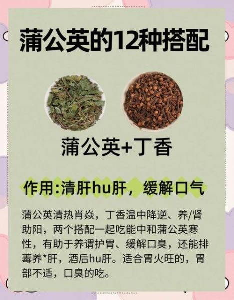 蒲公英配白茅根的功效与作用_蒲公英白茅根能长期喝吗-第2张图片-山城妙识