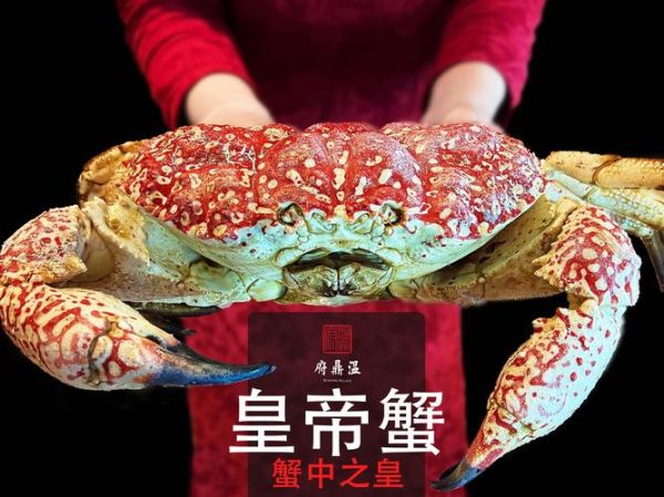 皇帝蟹多少钱一斤_皇帝蟹市场价2024-第2张图片-山城妙识