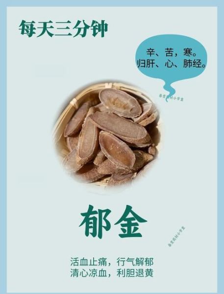 郁金的功效与作用_郁金怎么吃效果最好-第2张图片-山城妙识