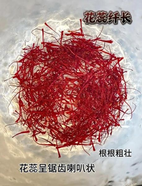 藏红花图片大全高清图片_藏红花真假怎么辨别-第2张图片-山城妙识