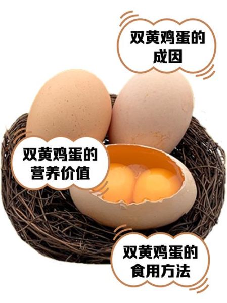 双黄蛋能吃吗_双黄蛋营养价值-第1张图片-山城妙识