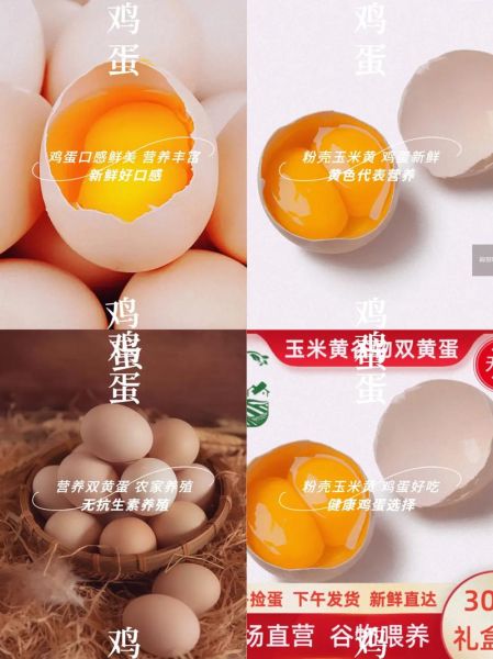 双黄蛋能吃吗_双黄蛋营养价值-第3张图片-山城妙识