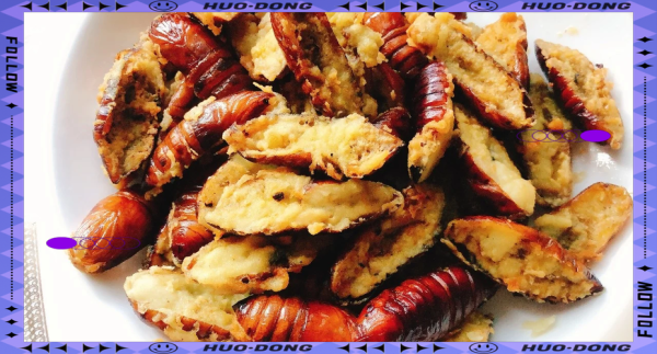 油炸蚕蛹怎么做_油炸蚕蛹怎么炸才酥脆-第3张图片-山城妙识