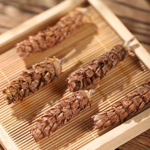 夏菇草哪些人不能喝_夏菇草禁忌人群-第3张图片-山城妙识