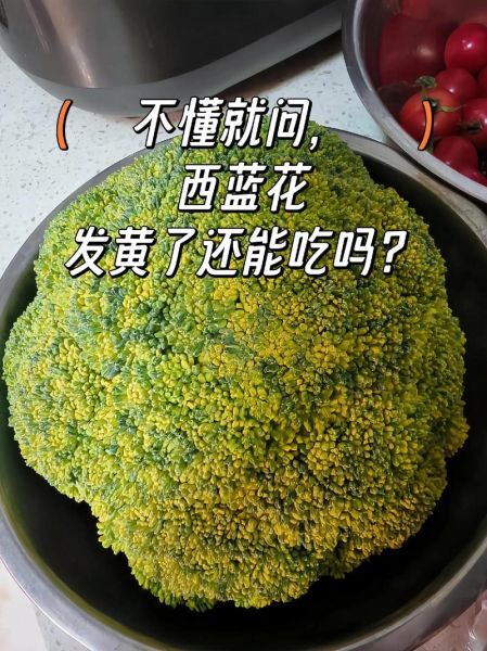 西兰花怎么保存时间长_西兰花变黄了还能吃吗-第2张图片-山城妙识