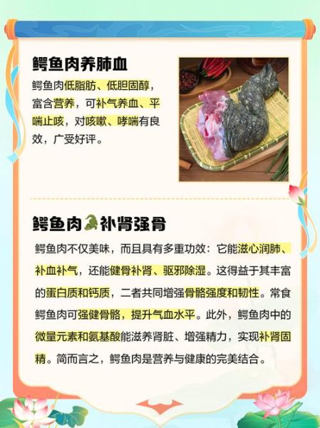 吃鳄鱼肉的危害_鳄鱼肉对人体有哪些副作用-第2张图片-山城妙识