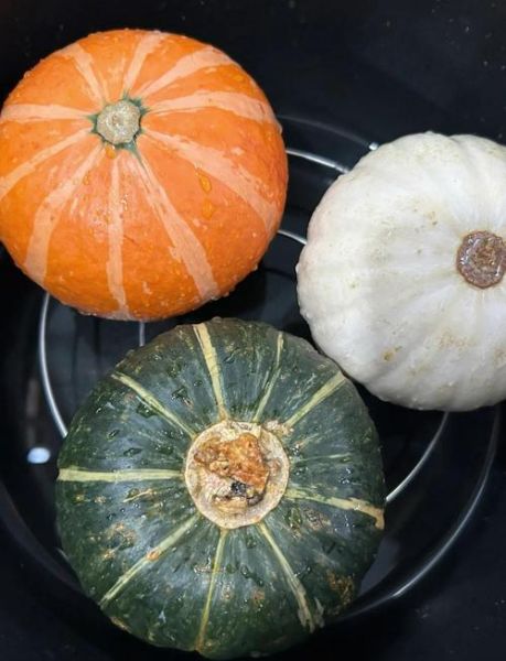 白色大南瓜叫什么_白南瓜品种有哪些-第2张图片-山城妙识