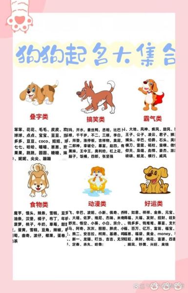 动物名字大全_有哪些冷门又好听的-第1张图片-山城妙识