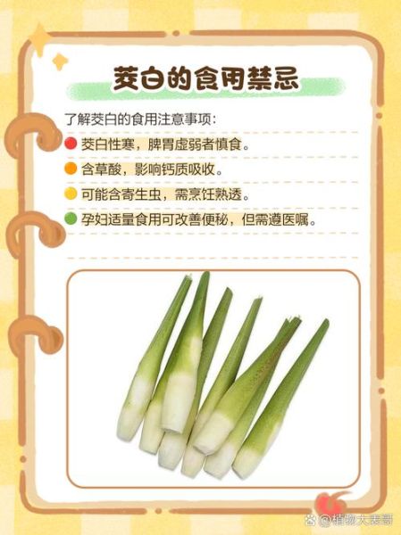 茭怎么读_茭白和茭瓜的区别-第2张图片-山城妙识