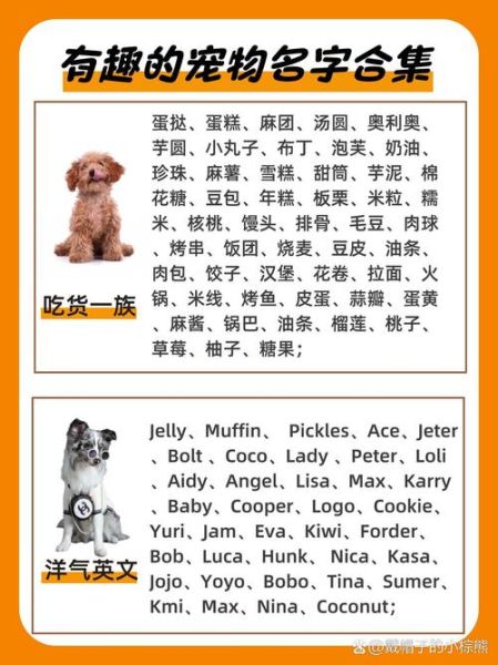 动物名字大全_有哪些冷门又好听的-第2张图片-山城妙识