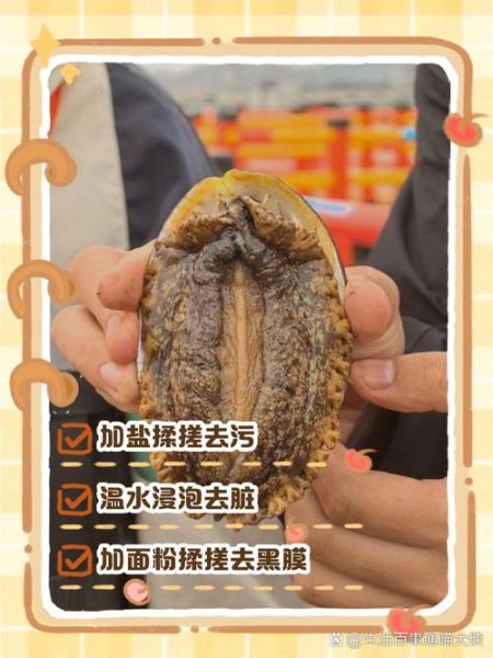 鲍鱼怎么去内脏_鲍鱼清理内脏步骤-第3张图片-山城妙识 鲍鱼怎么去内脏_鲍鱼清理内脏步骤-第3张图片-山城妙识