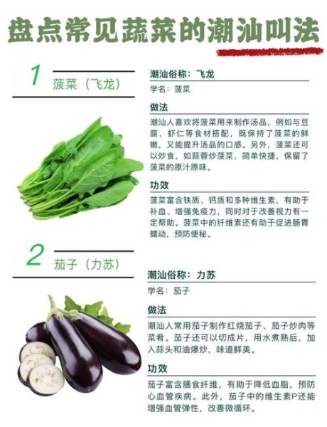 蔬菜菜名大全图片_蔬菜名称有哪些-第2张图片-山城妙识 蔬菜菜名大全图片_蔬菜名称有哪些-第2张图片-山城妙识