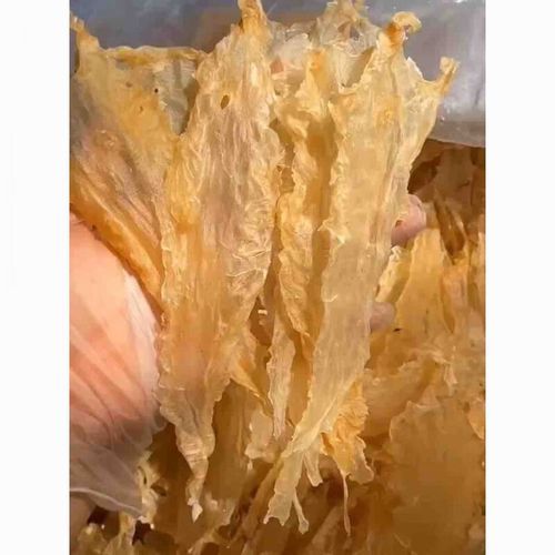 鳕鱼胶怎么泡发_鳕鱼胶炖什么最营养-第2张图片-山城妙识