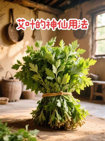 艾叶的功效与作用湿疹_艾叶怎么治湿疹-第3张图片-山城妙识 艾叶的功效与作用湿疹_艾叶怎么治湿疹-第3张图片-山城妙识