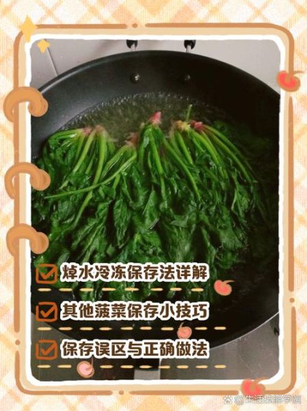 菠菜焯水多久_菠菜焯水要不要加油-第1张图片-山城妙识 菠菜焯水多久_菠菜焯水要不要加油-第1张图片-山城妙识