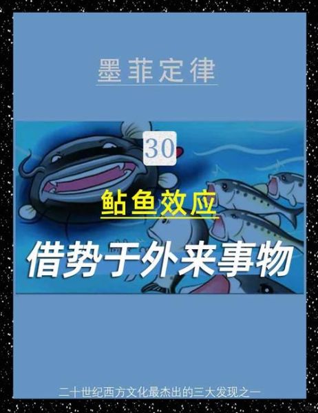 鲶鱼效应如何激发团队活力_鲶鱼效应在企业管理中的应用-第3张图片-山城妙识 鲶鱼效应如何激发团队活力_鲶鱼效应在企业管理中的应用-第3张图片-山城妙识