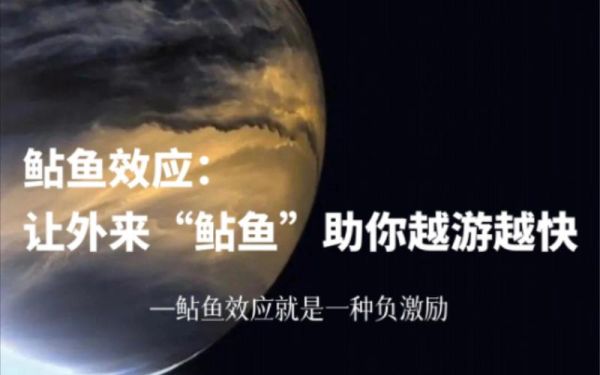 鲶鱼效应如何激发团队活力_鲶鱼效应在企业管理中的应用-第2张图片-山城妙识 鲶鱼效应如何激发团队活力_鲶鱼效应在企业管理中的应用-第2张图片-山城妙识