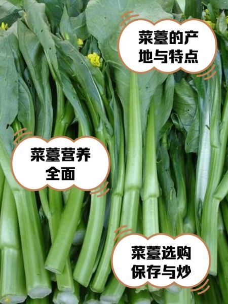 菜心是什么菜_菜心和菜薹的区别-第3张图片-山城妙识