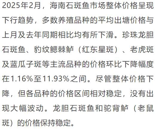 石斑鱼多少钱一斤_石斑鱼价格为什么差别这么大-第3张图片-山城妙识
