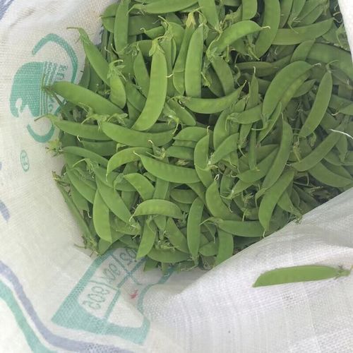 豆荚官网是什么_豆荚官网怎么下载-第1张图片-山城妙识