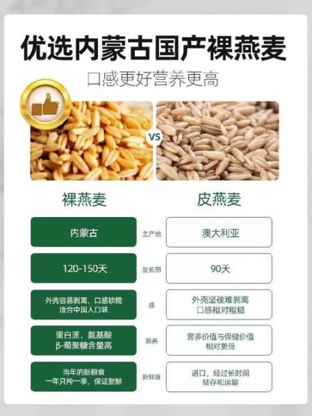 有机燕麦片的功效与作用_怎么吃最健康-第3张图片-山城妙识