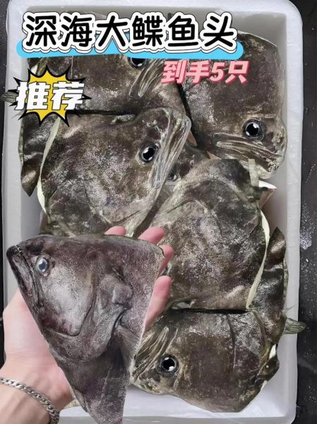 鸦片鱼头热量高吗_鸦片鱼头营养价值有哪些-第2张图片-山城妙识