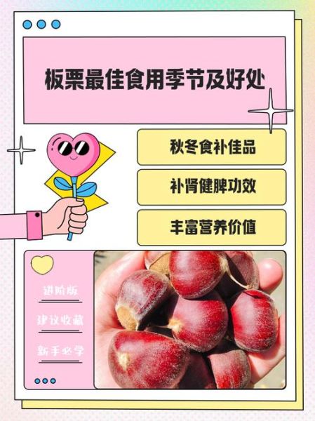 孕妇可以吃板栗吗_孕妇吃板栗的好处与禁忌-第2张图片-山城妙识 孕妇可以吃板栗吗_孕妇吃板栗的好处与禁忌-第2张图片-山城妙识