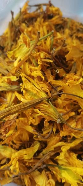 野生黄花菜怎么吃_野生黄花菜怎么处理-第1张图片-山城妙识