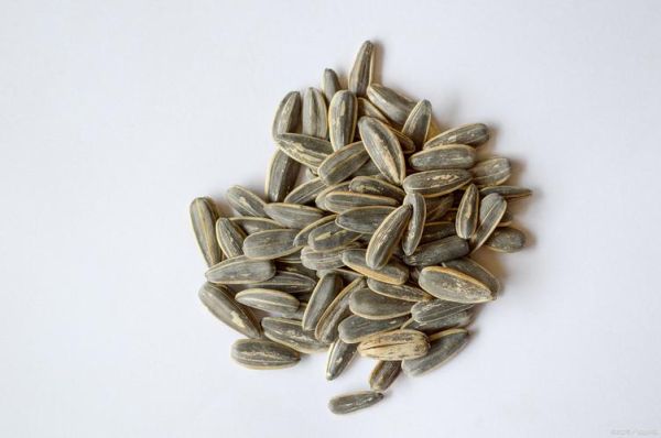 角瓜子有什么功效_角瓜子怎么吃最好-第3张图片-山城妙识 角瓜子有什么功效_角瓜子怎么吃最好-第3张图片-山城妙识