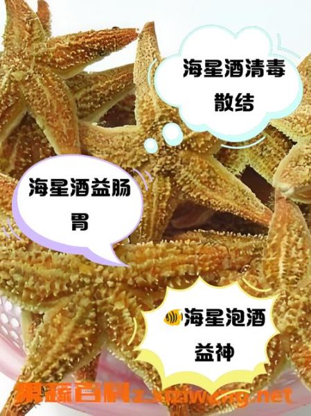 海星泡酒功效与作用_海星泡酒怎么泡-第1张图片-山城妙识 海星泡酒功效与作用_海星泡酒怎么泡-第1张图片-山城妙识