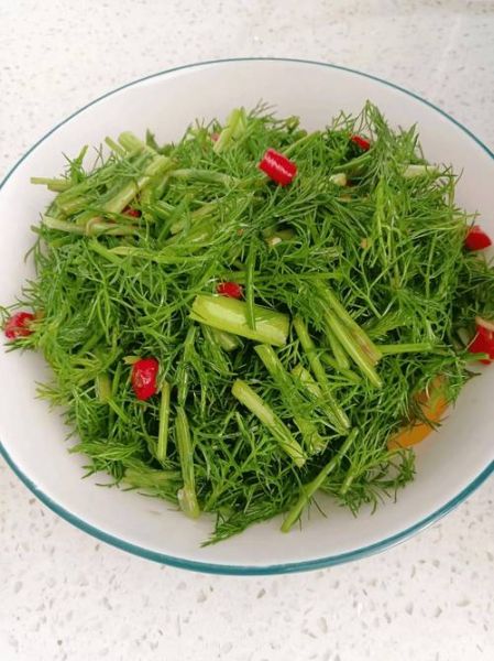 凉拌小茴香菜怎么做好吃_凉拌小茴香菜要不要焯水-第2张图片-山城妙识 凉拌小茴香菜怎么做好吃_凉拌小茴香菜要不要焯水-第2张图片-山城妙识