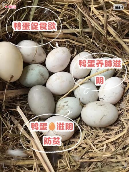 新鲜鸭蛋的营养价值_新鲜鸭蛋的功效与作用-第2张图片-山城妙识 新鲜鸭蛋的营养价值_新鲜鸭蛋的功效与作用-第2张图片-山城妙识
