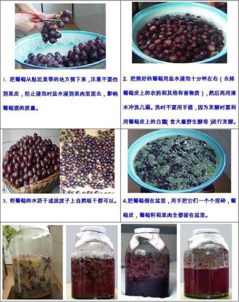 葡萄酒怎么做_家庭自酿葡萄酒步骤-第2张图片-山城妙识