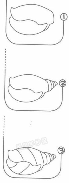 螺图片_怎么画才逼真-第3张图片-山城妙识 螺图片_怎么画才逼真-第3张图片-山城妙识