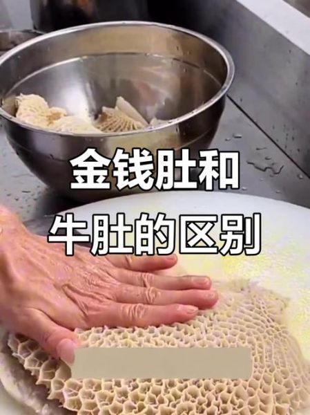 金钱肚和牛肚的区别_哪个更好吃-第3张图片-山城妙识