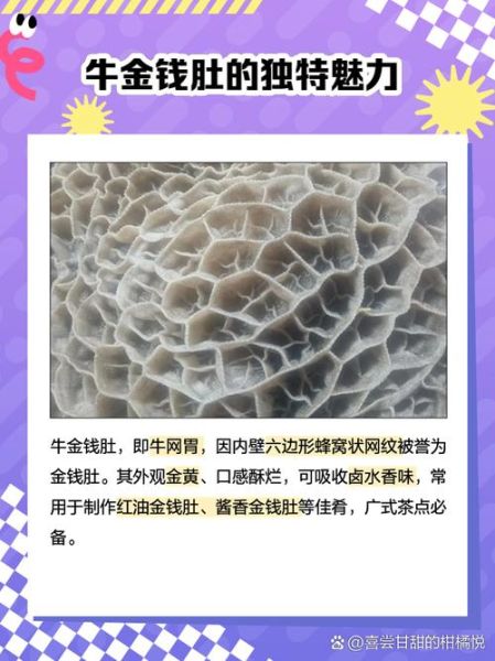 金钱肚和牛肚的区别_哪个更好吃-第1张图片-山城妙识